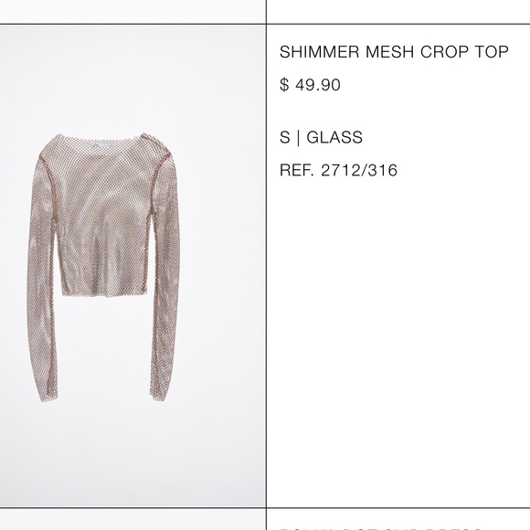 Zara | Tops | Nwt Zara Shimmer Mesh Crop Top Ref 272316 In Color Glass ...